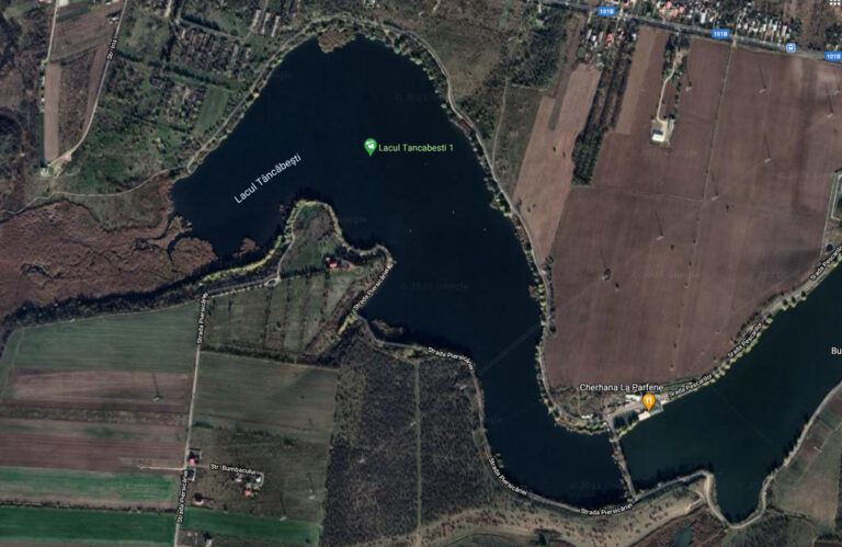 Balti de pescuit langa Bucuresti: mini-ghid pentru pescarii sportivi ...